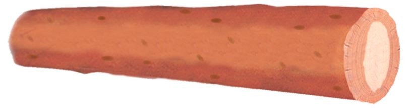 Custom Log Home Construction Options